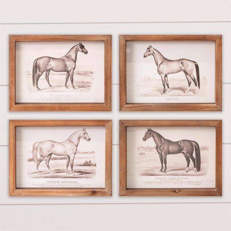 Horse Champion Prints in Wood Frames (4 styles) – Smith & York Co.